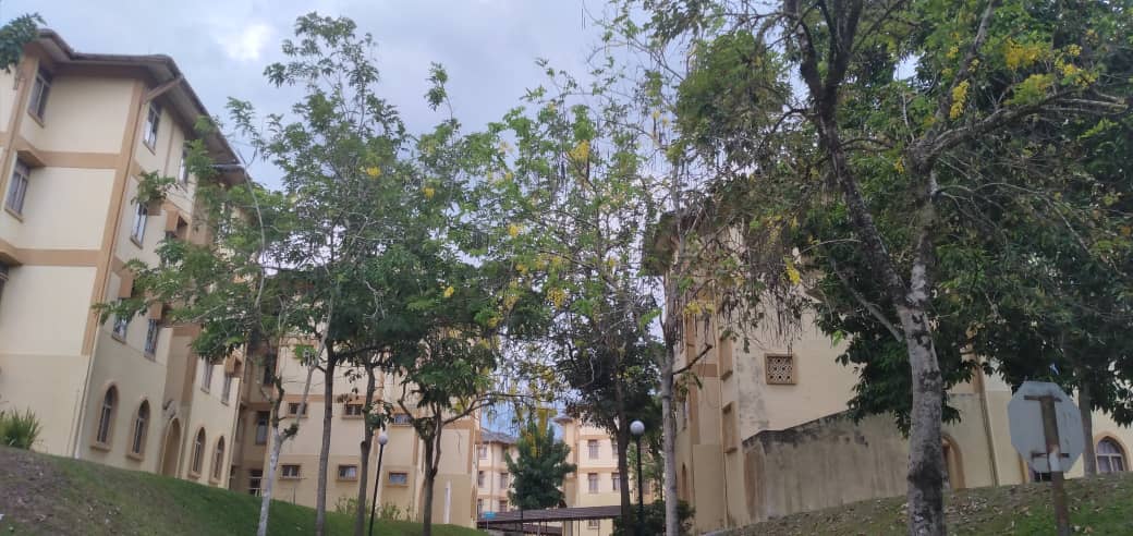 Mahallah Hafsa Homepage