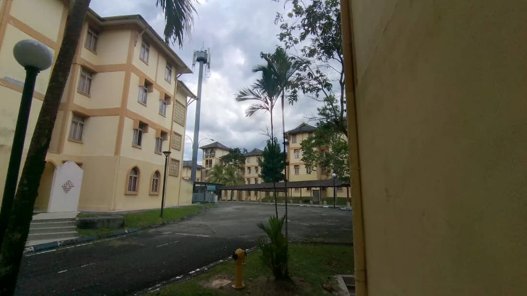 Mahallah Hafsa Homepage