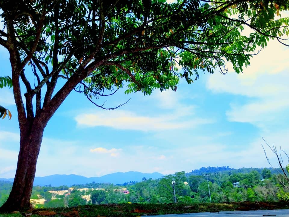 Sceneries in Sumayyah | Mahallah Sumayyah